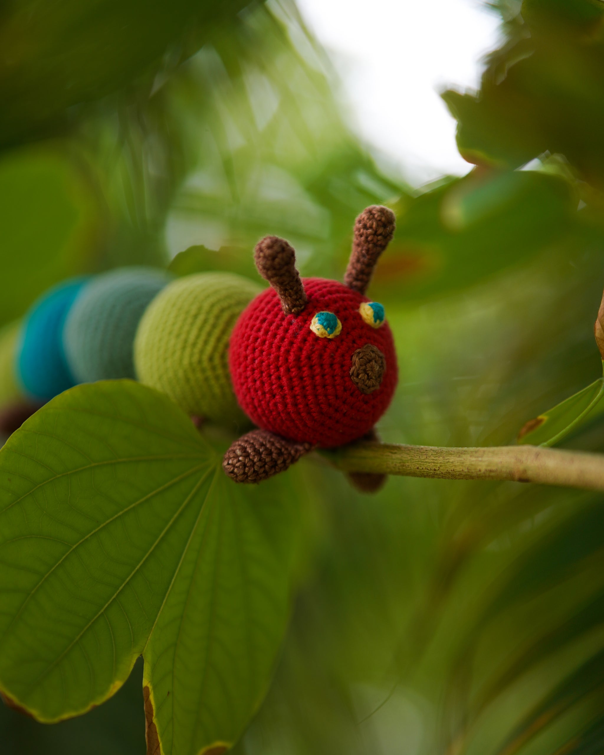 The Very Hungry Caterpillar Knitting Pattern